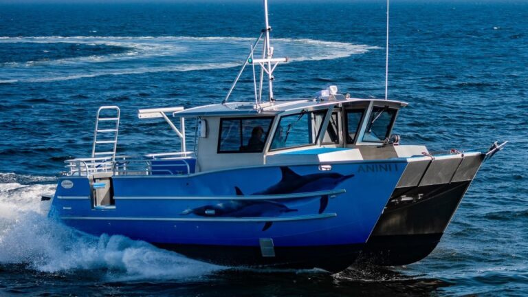 BRIX Marine | PaxCat Passenger Catamarans