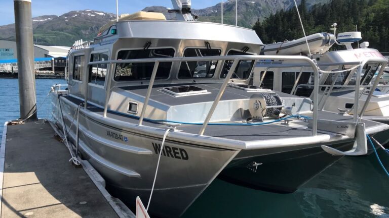 BRIX Marine | RecPro Recreational Catamarans