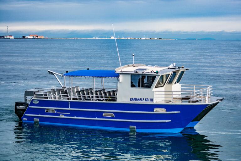 BRIX Marine | PaxCat Passenger Catamarans