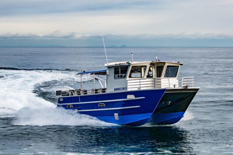 BRIX Marine | PaxCat Passenger Catamarans