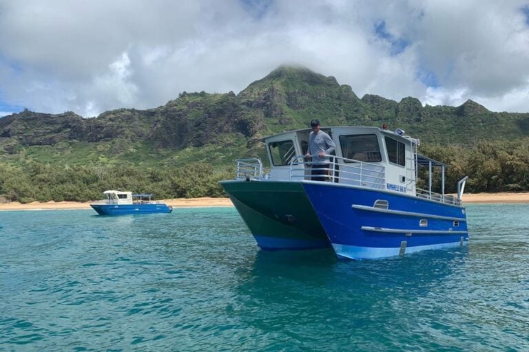 BRIX Marine | PaxCat Passenger Catamarans