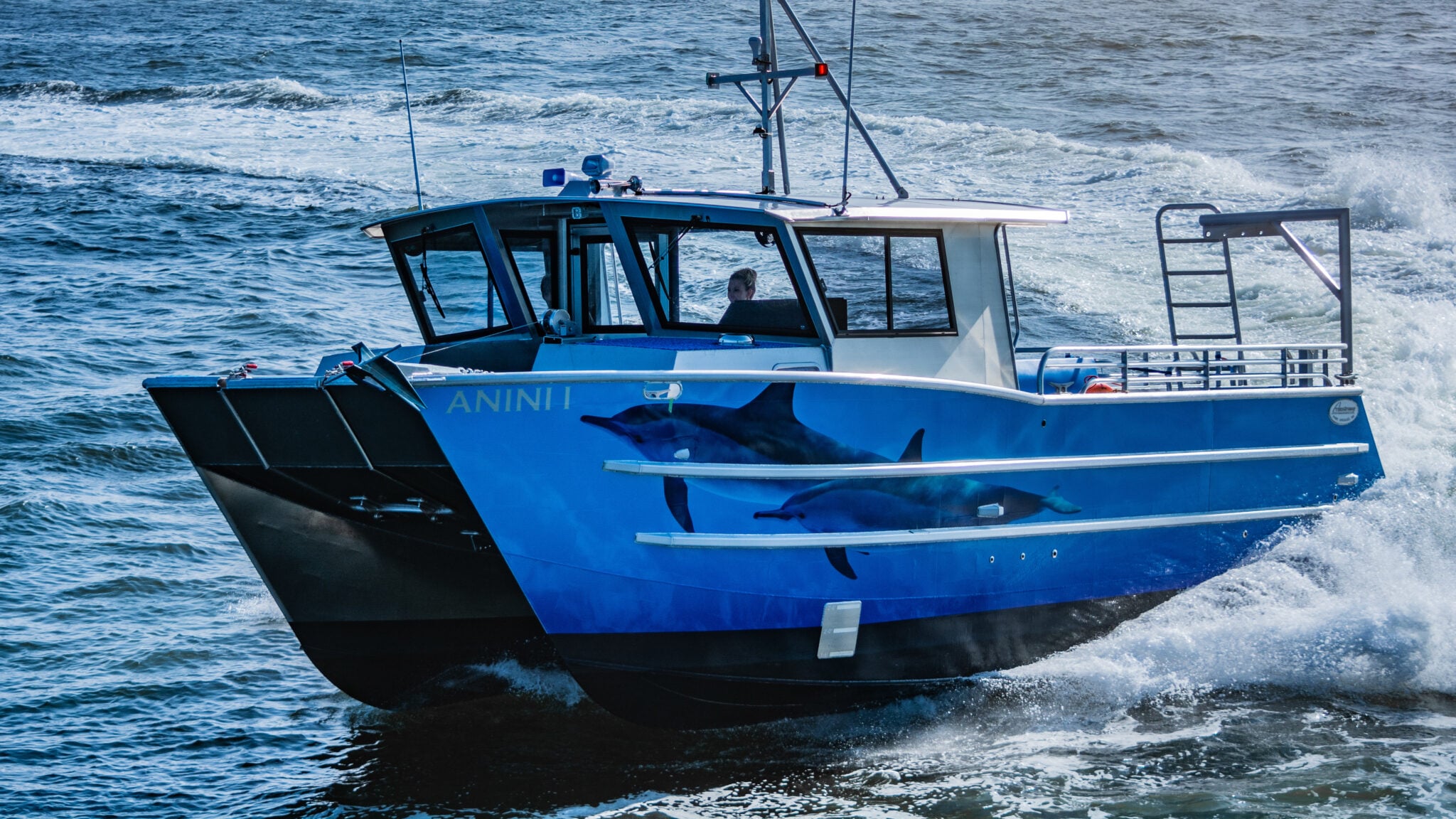 BRIX Marine | PaxCat Passenger Catamarans